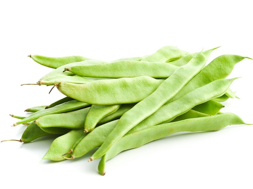 Yerli Taze Fasulye kg – Altıner Tarım
